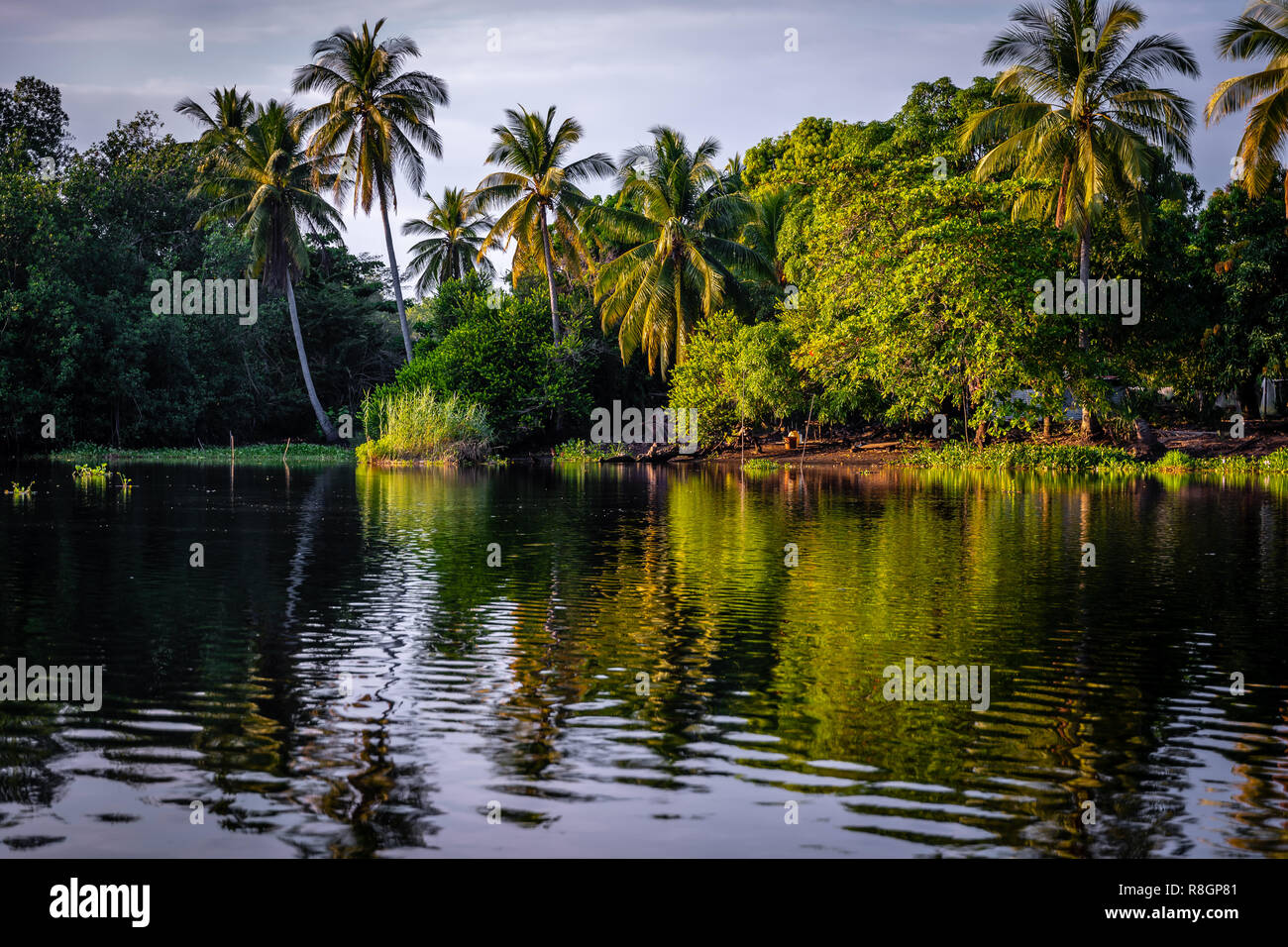 view of Guatemalan river Stock Photo - Alamy