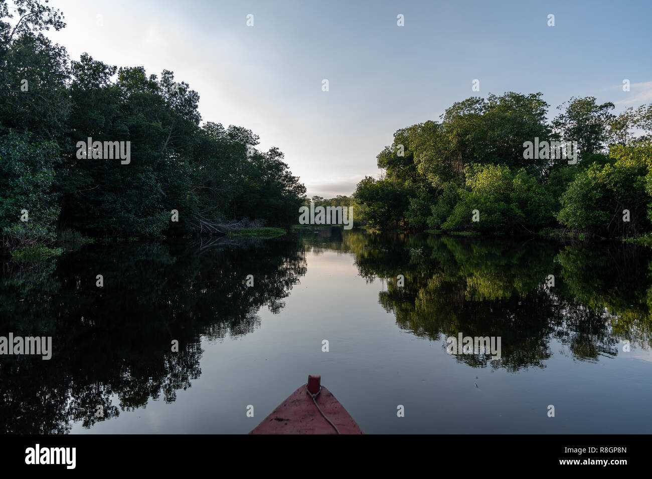 view of Guatemalan river Stock Photo - Alamy