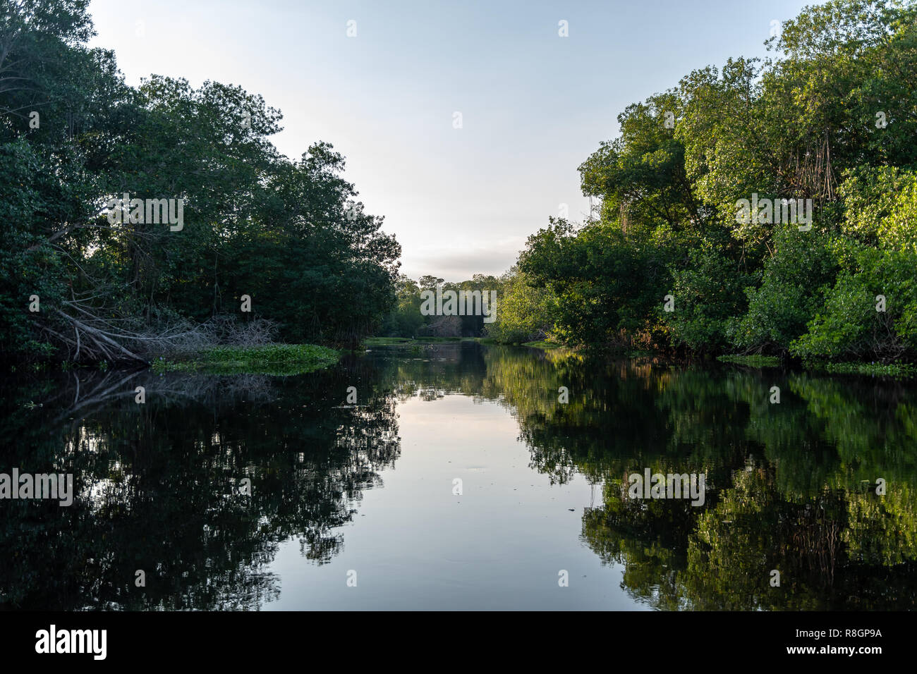 view of Guatemalan river Stock Photo - Alamy
