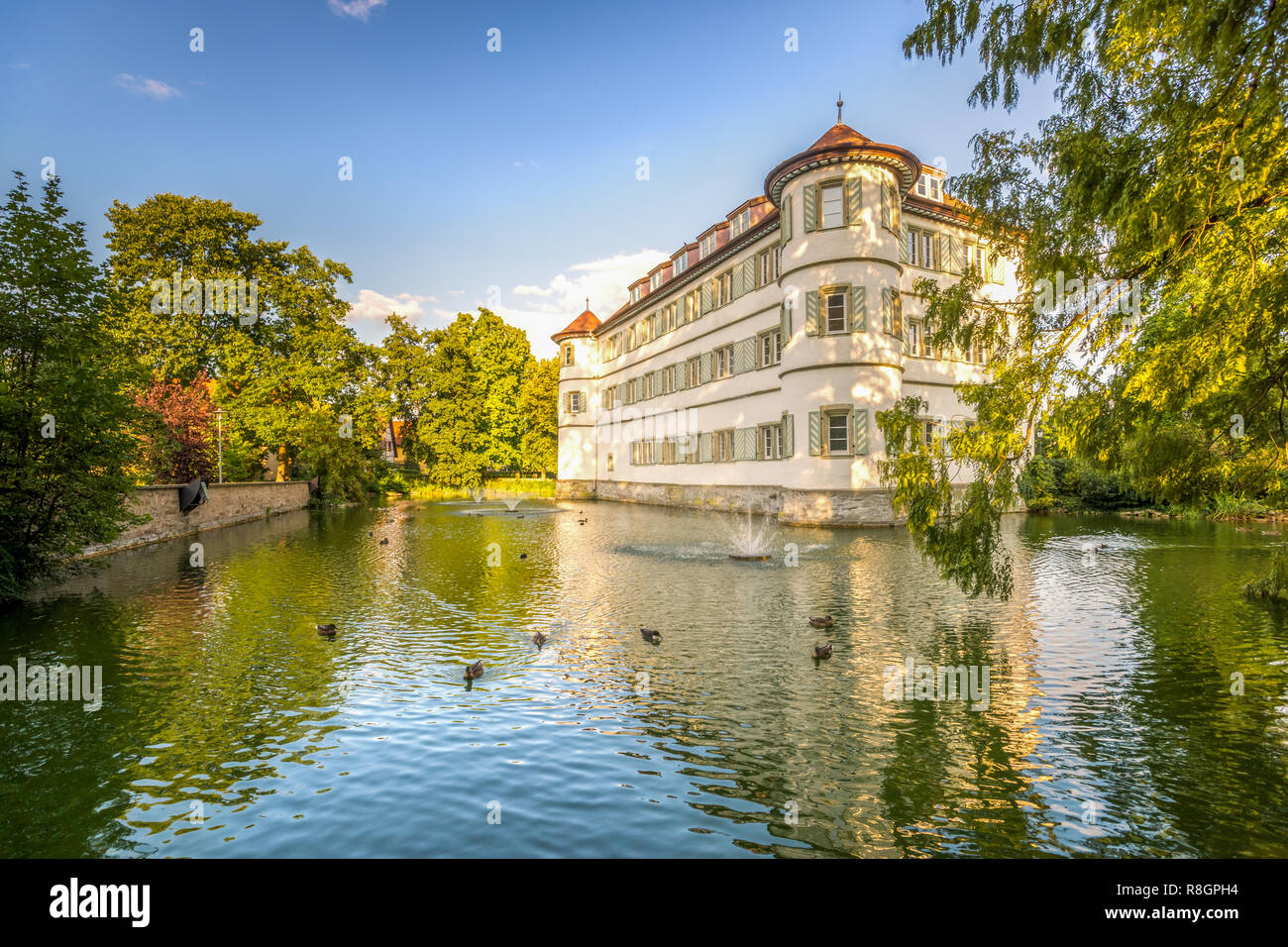 Castle, Bad Rappenau, Germany Stock Photo - Alamy