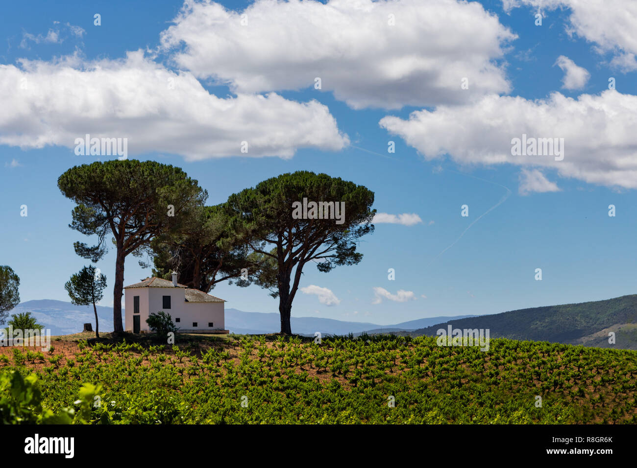 The beautiful wine region of Bierzo Spain Stock Photo - Alamy