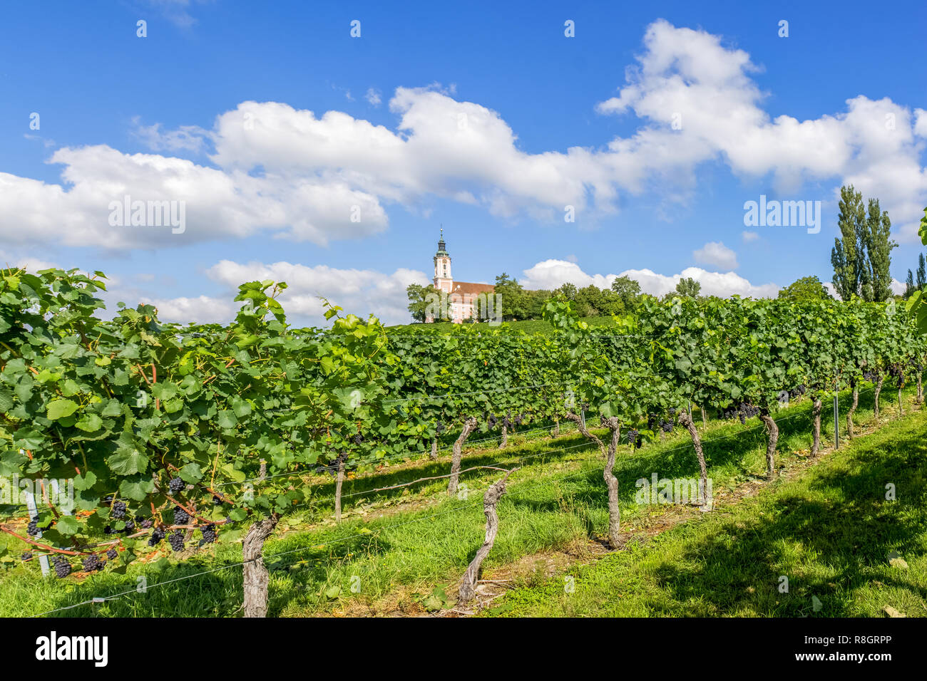 Birnau basilica hi-res stock photography and images - Alamy