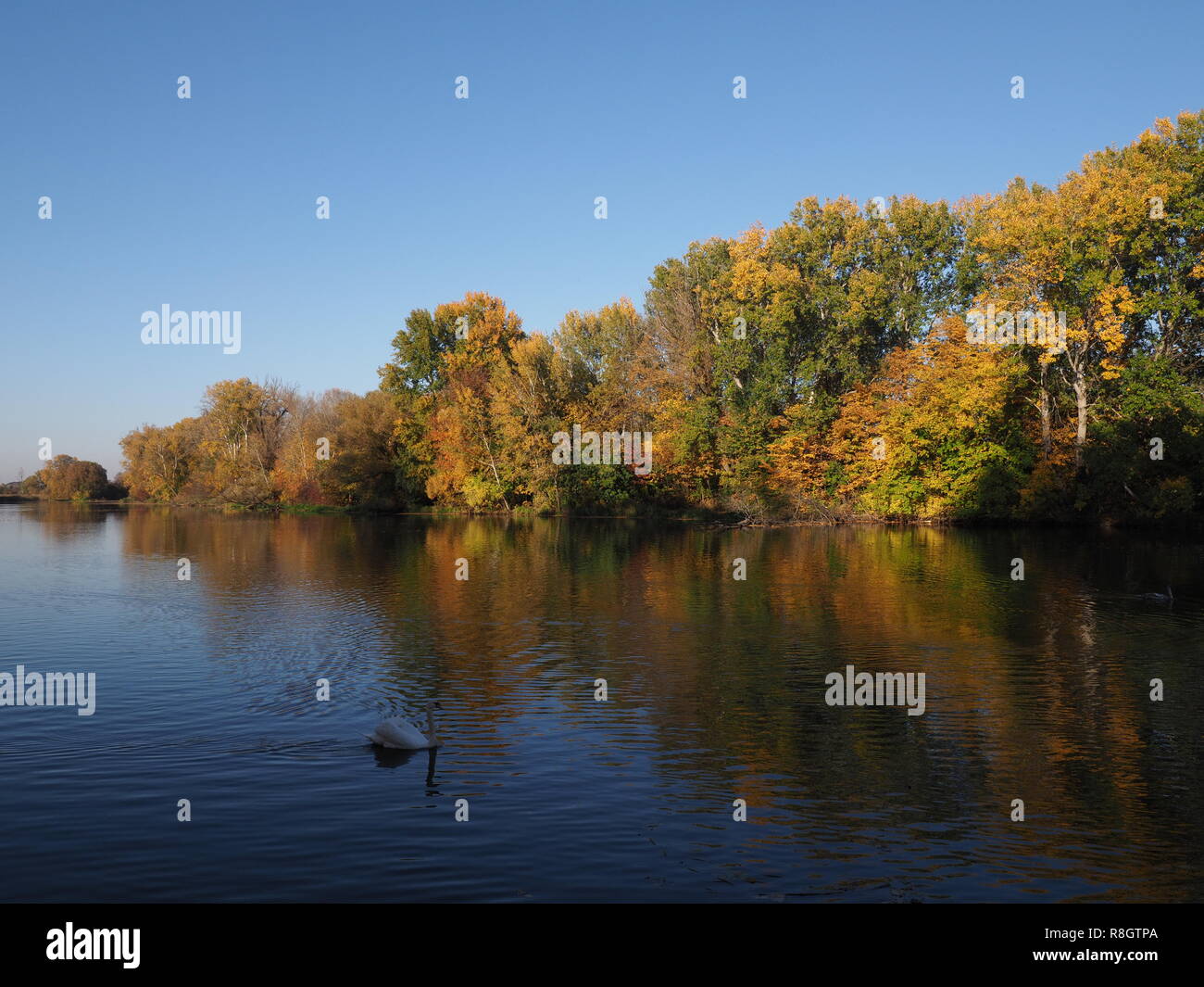 Picturesque landscapes of colorful trees and river with water ...