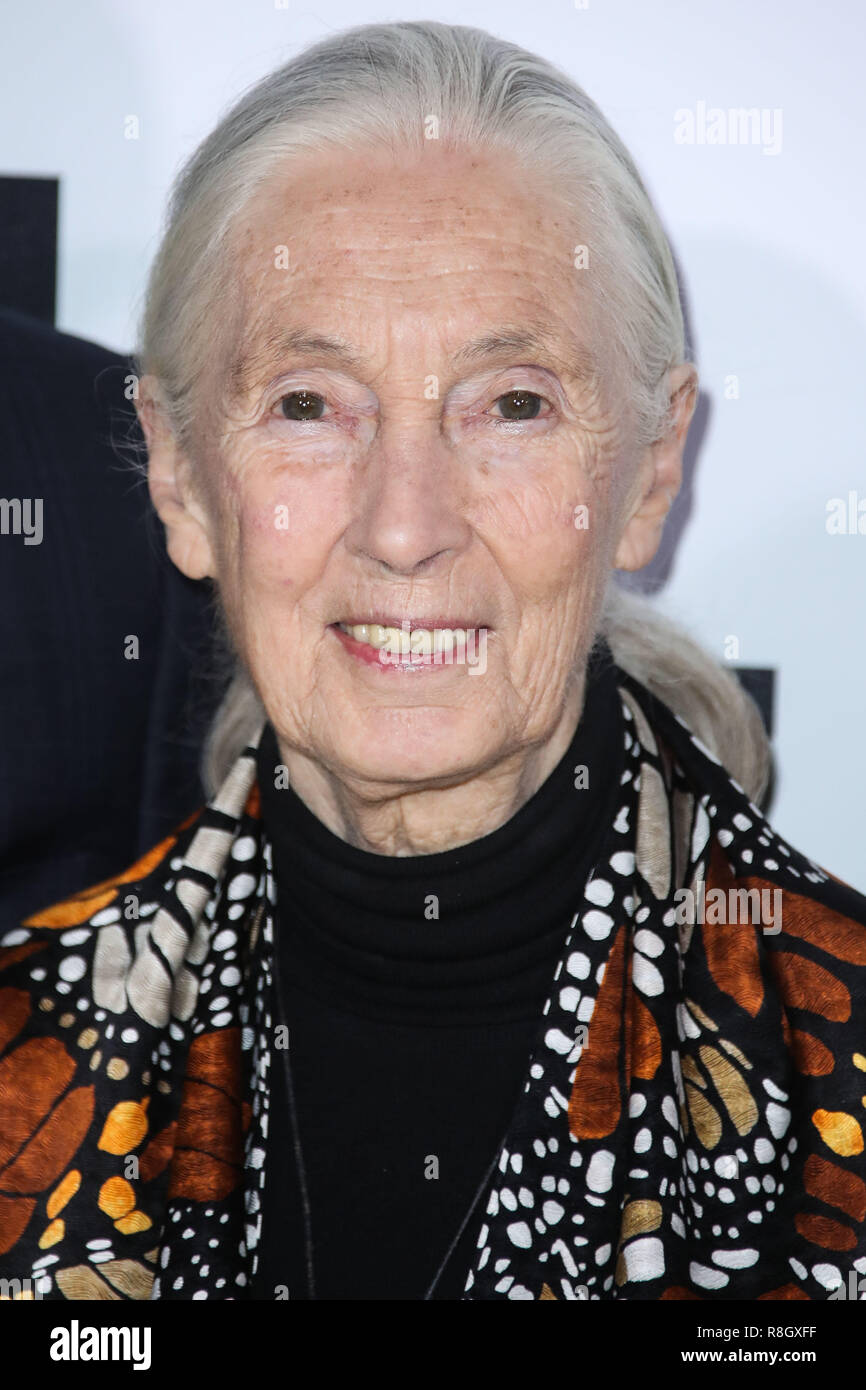 Jane goodall hi-res stock photography and images - Alamy