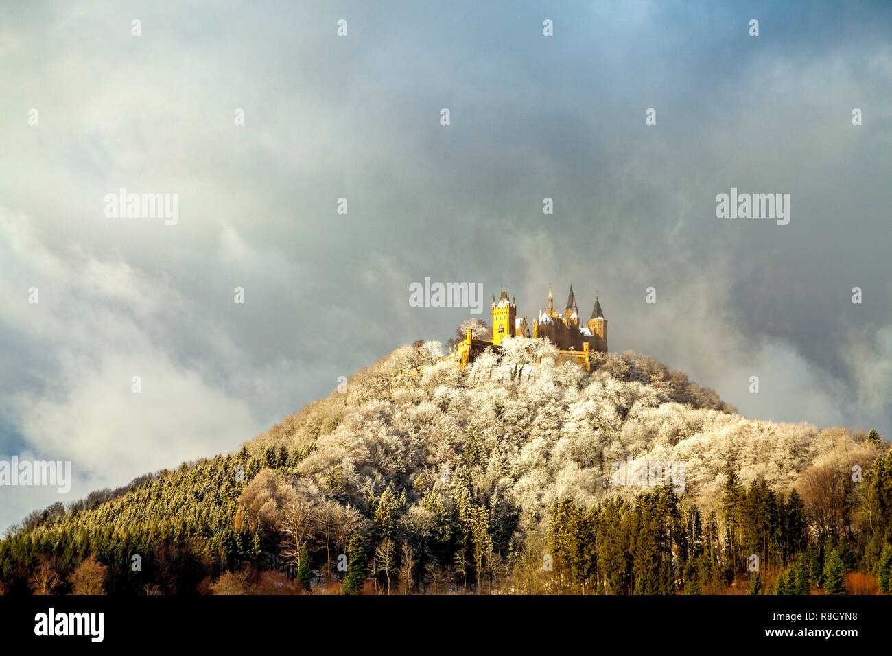 Family hohenzollern hi-res stock photography and images - Alamy