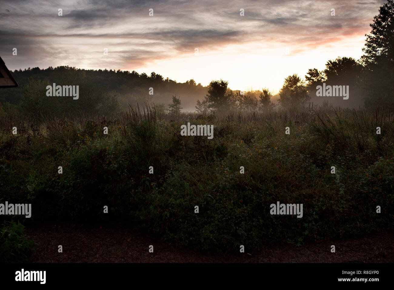 Foggy brook hi-res stock photography and images - Alamy