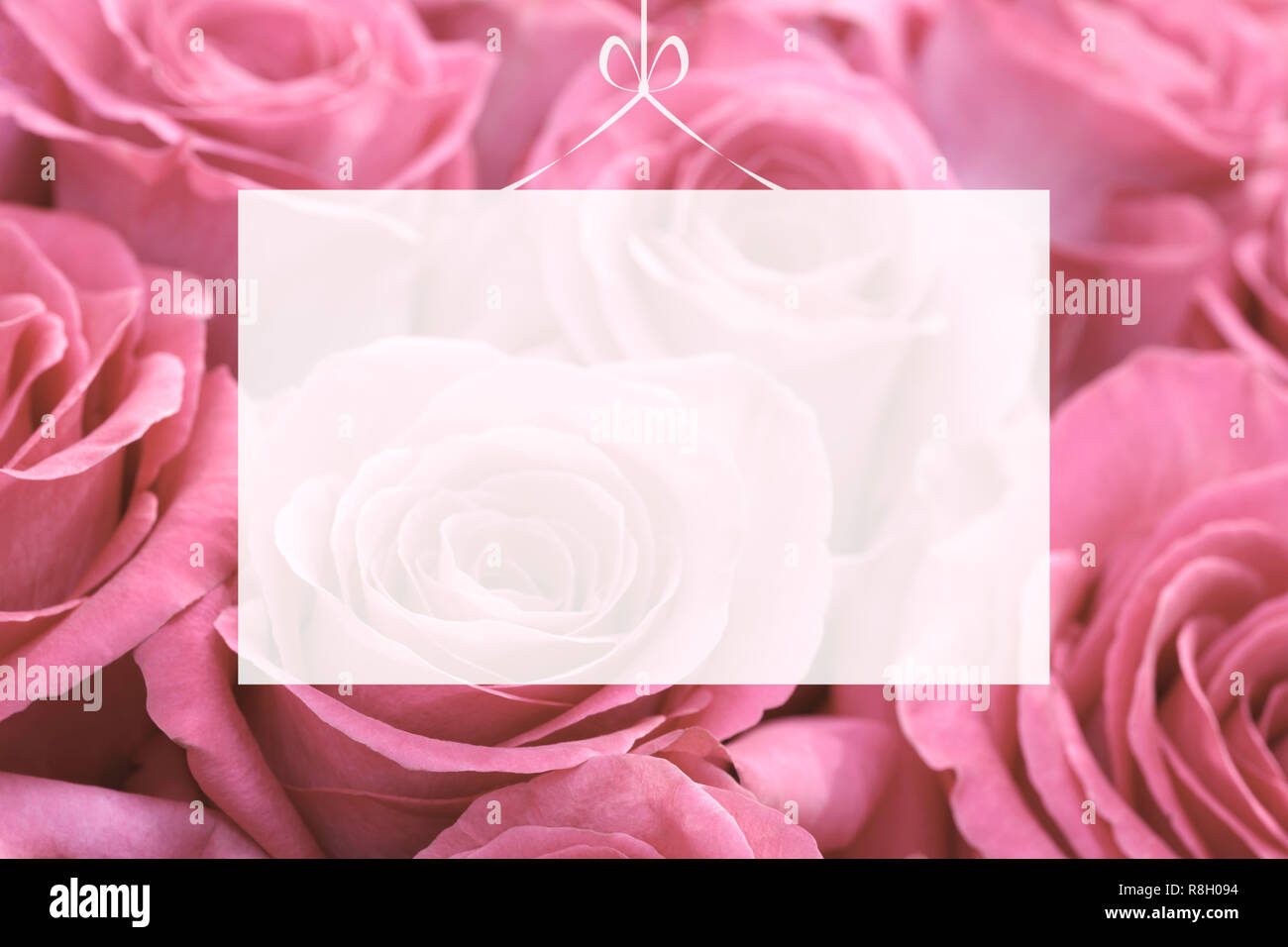 Translucent Blank greeting card on selection of rose background Stock ...