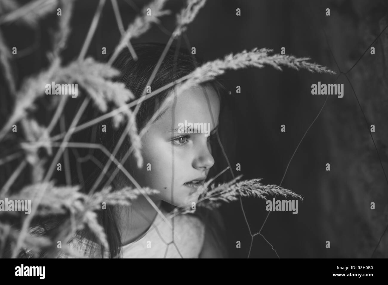 Beauty, look, hairstyle Stock Photo - Alamy