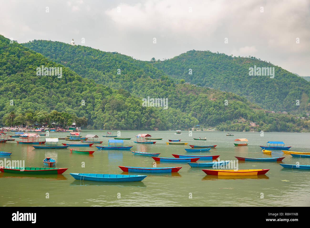 Colorful canoe boats floating in Phewa Lake in Pokhara, Nepal Stock ...