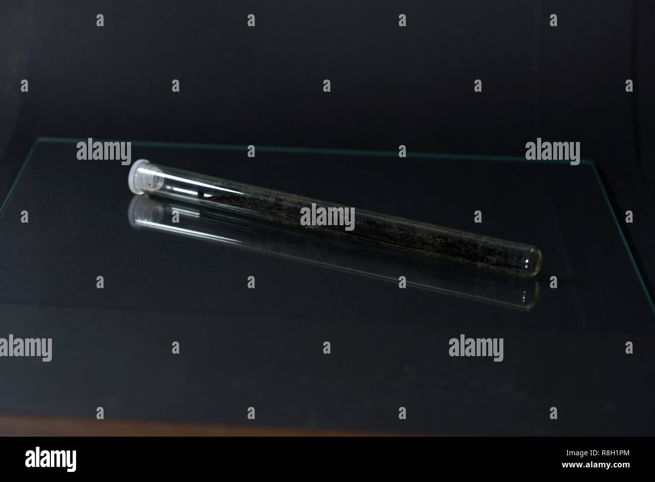 The vanilla is a spice that comes from the fermented capsule fruits ...