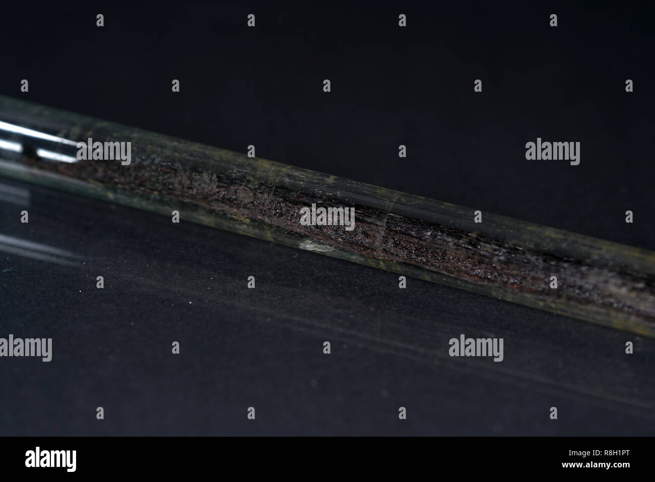 The vanilla is a spice that comes from the fermented capsule fruits ...