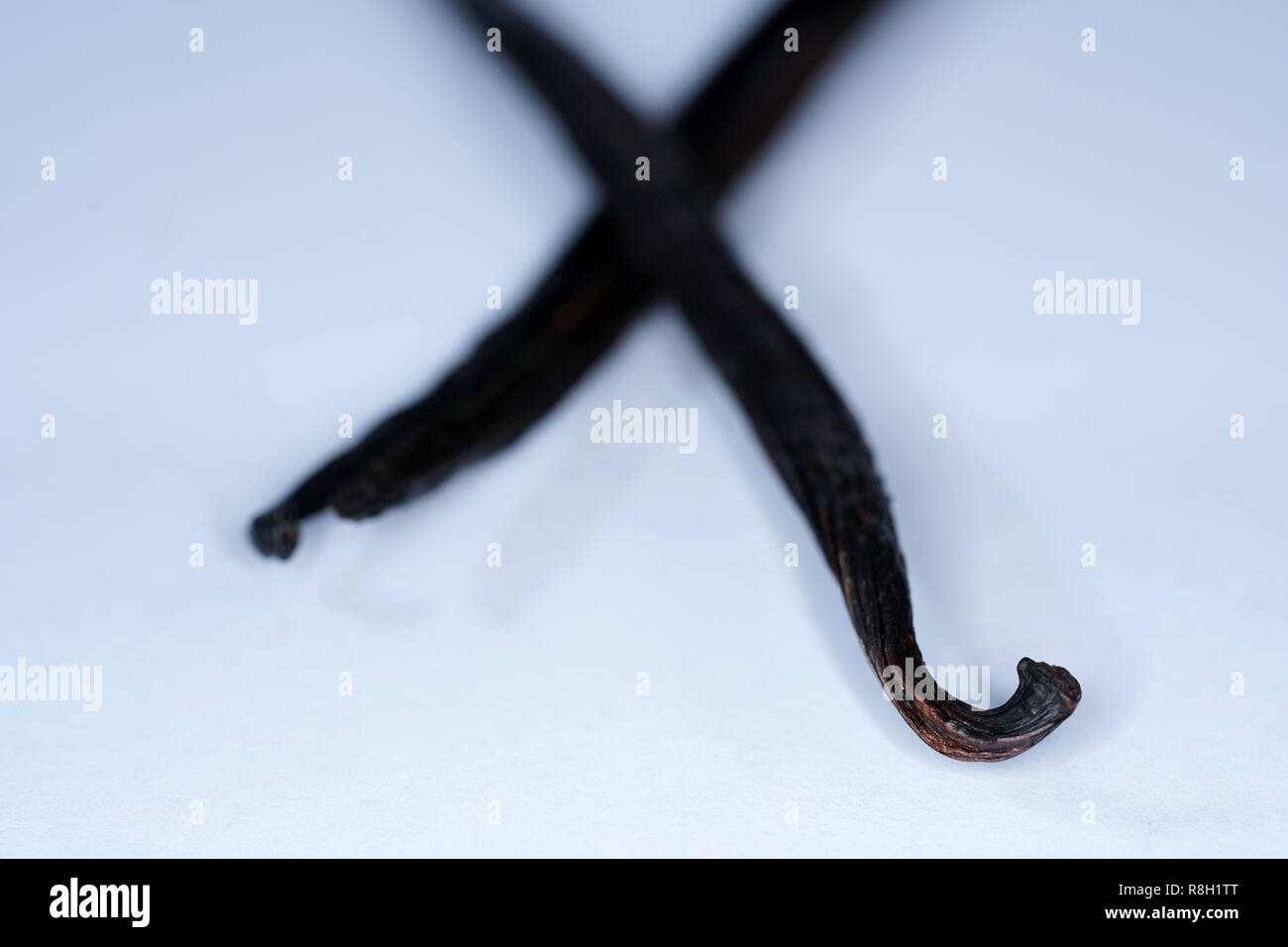 The vanilla is a spice that comes from the fermented capsule fruits ...