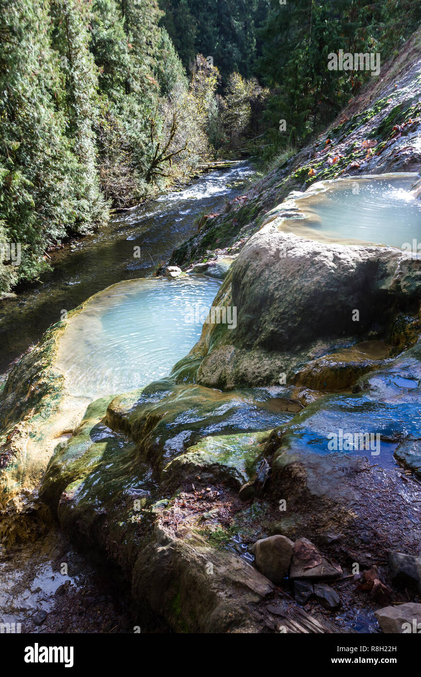 relaxing hot mineral pools surrounded by forest in the mountains of ...