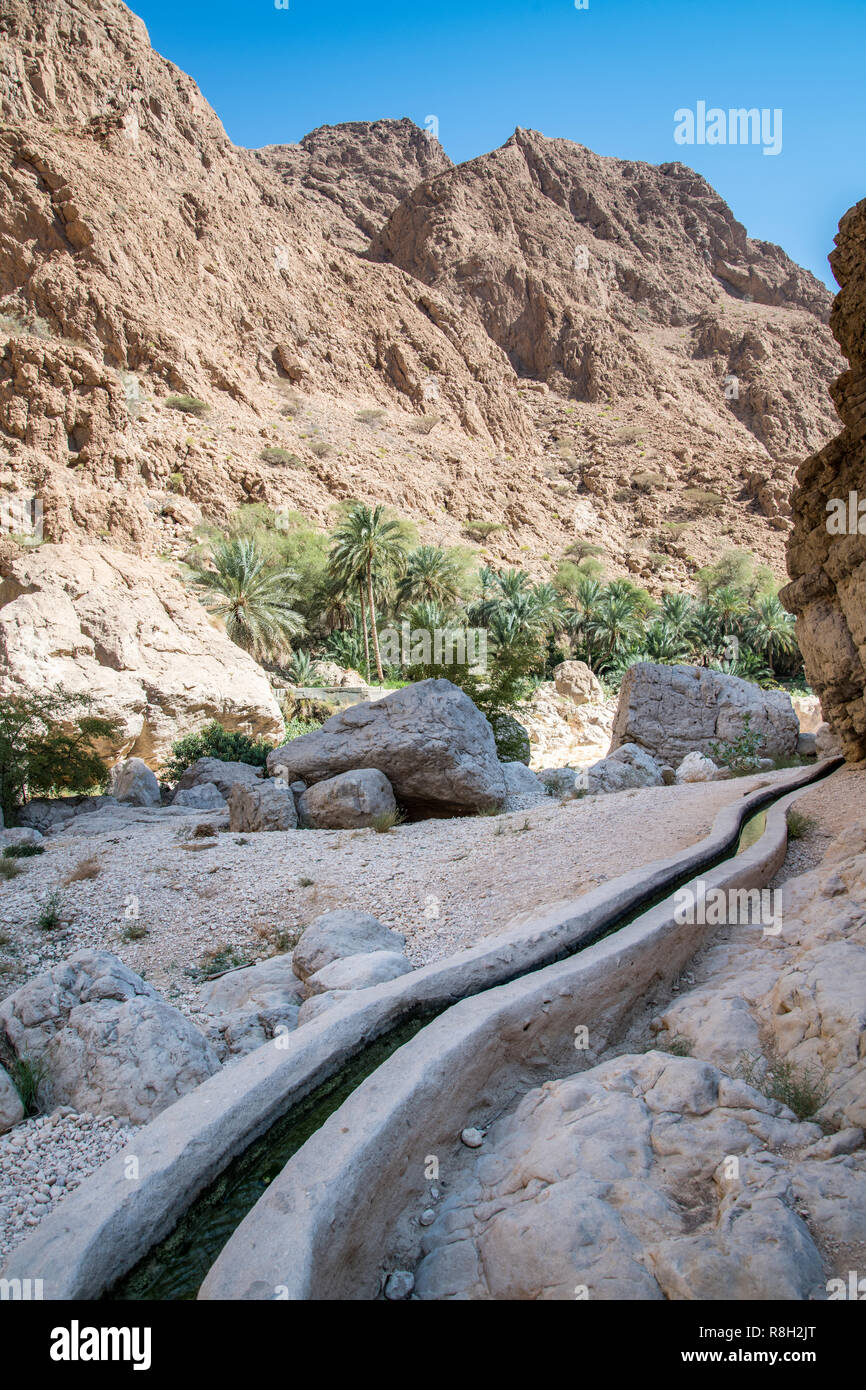 Irrigation system and Plantations in the canyon of Wadi Shab, Tiwi ...
