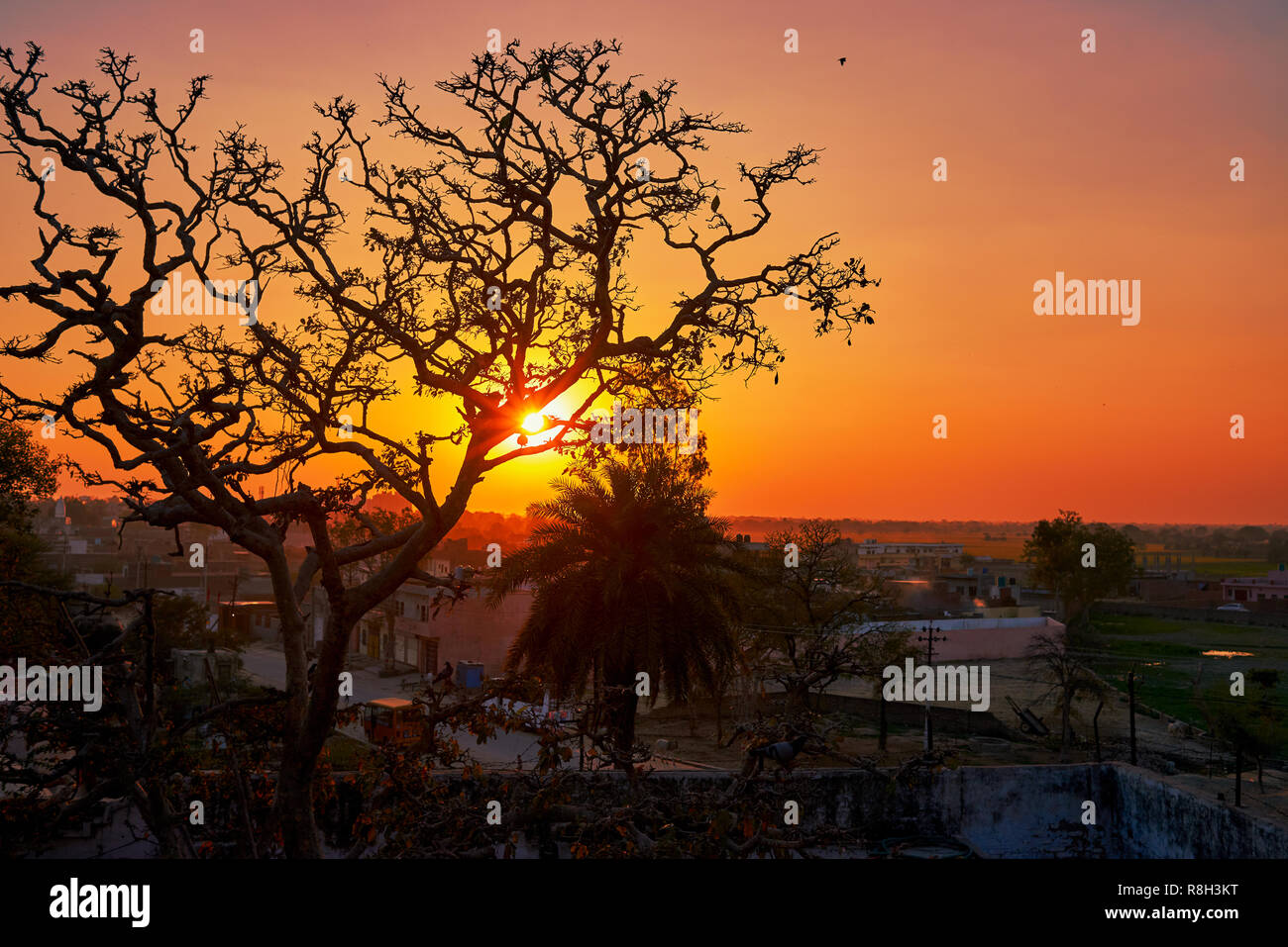 Holy city of vrindavan hi-res stock photography and images - Alamy