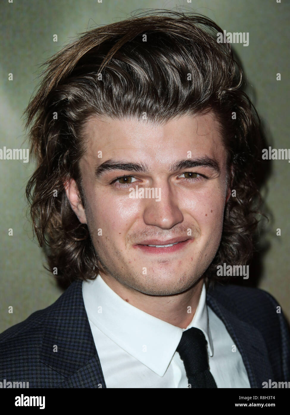 LOS ANGELES, CA, USA - NOVEMBER 17: Joe Keery at the Los Angeles ...