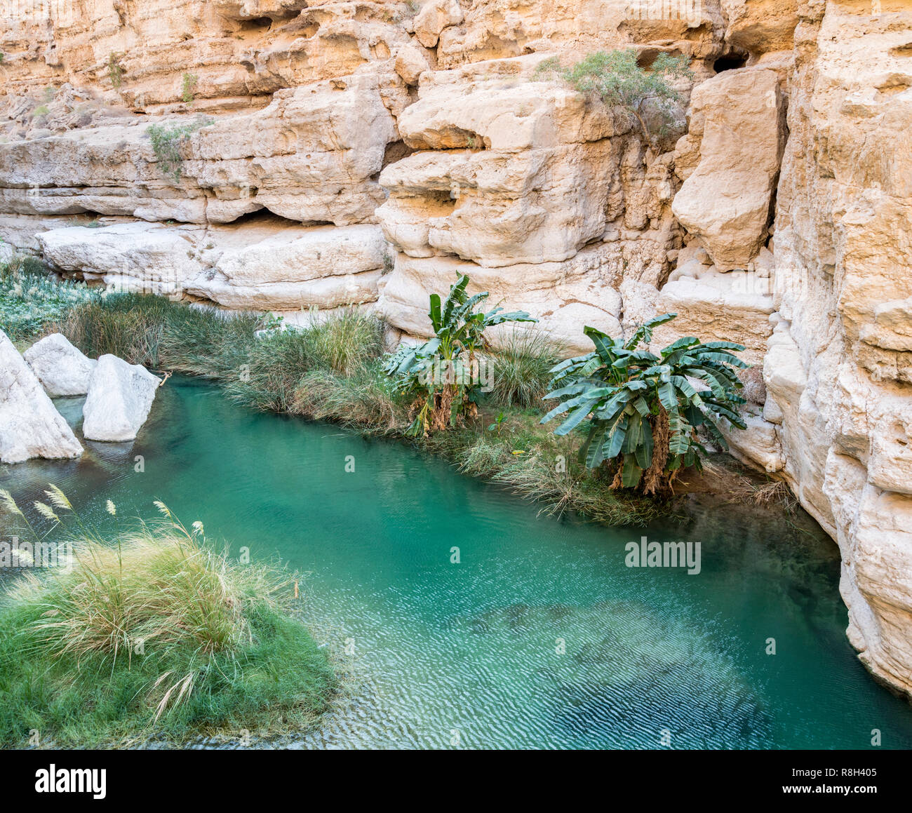 One natural pool in the canyon of the famous and touristic Wadi Shab ...