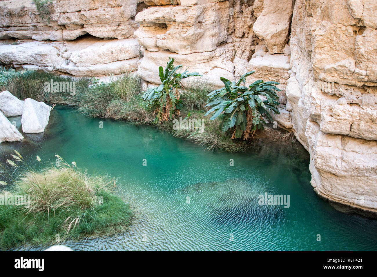 One natural pool and river in the canyon of the famous and touristic ...