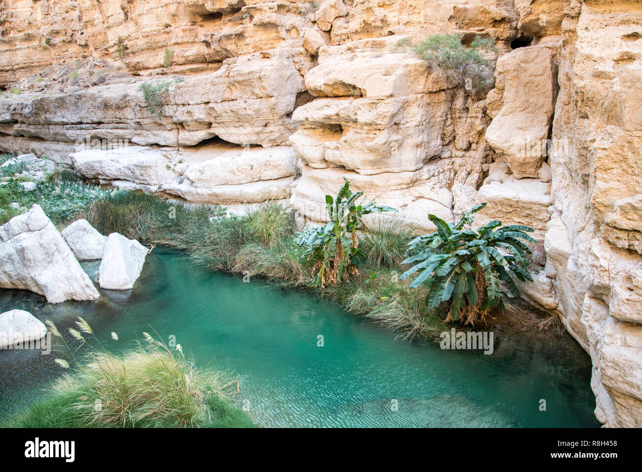 One natural pool in the canyon of the famous and touristic Wadi Shab ...