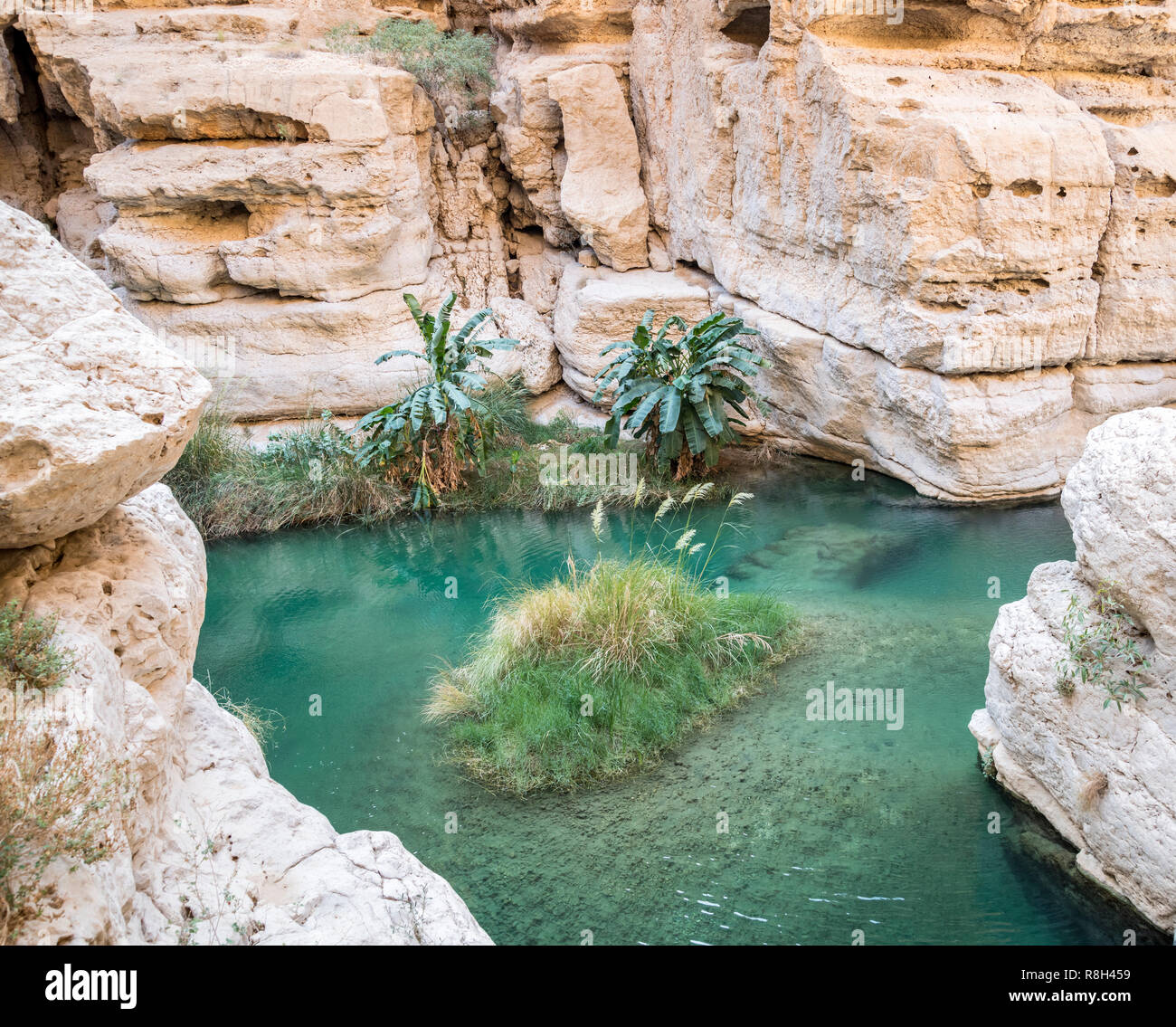 Arabian peninsule hi-res stock photography and images - Alamy