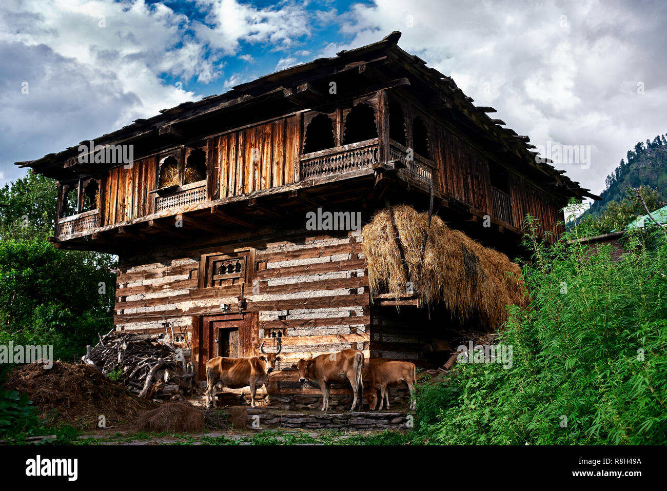 Traditional countryside wooden house in Naggar. Kullu Valley, Himachal ...