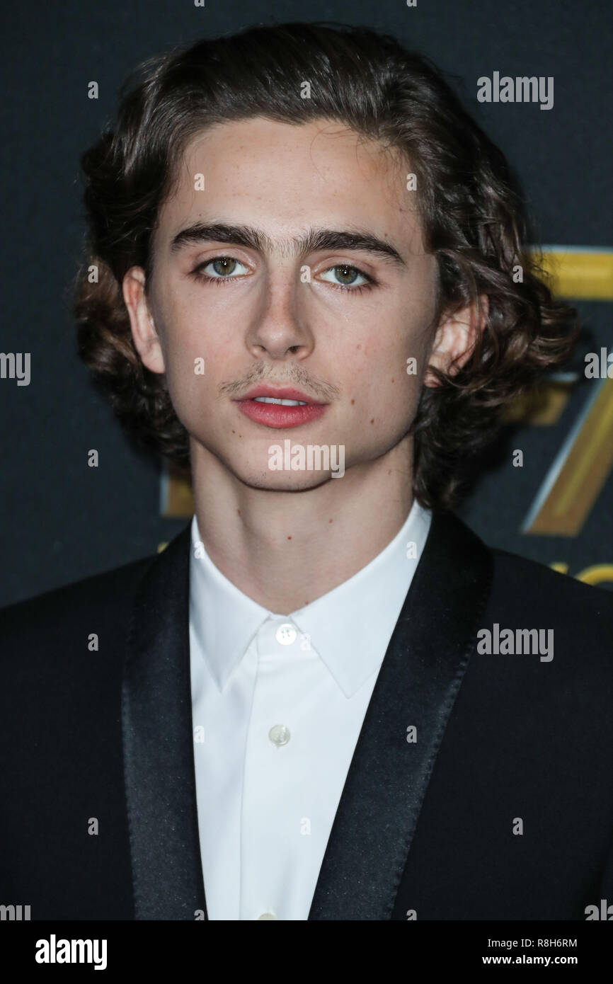 BEVERLY HILLS, LOS ANGELES, CA, USA - NOVEMBER 05: Timothee Chalomet at ...