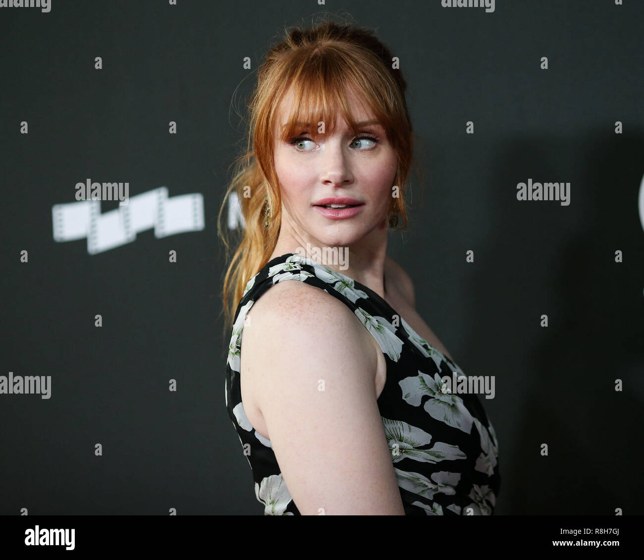 BEVERLY HILLS, LOS ANGELES, CA, USA - NOVEMBER 05: Actress Bryce Dallas ...