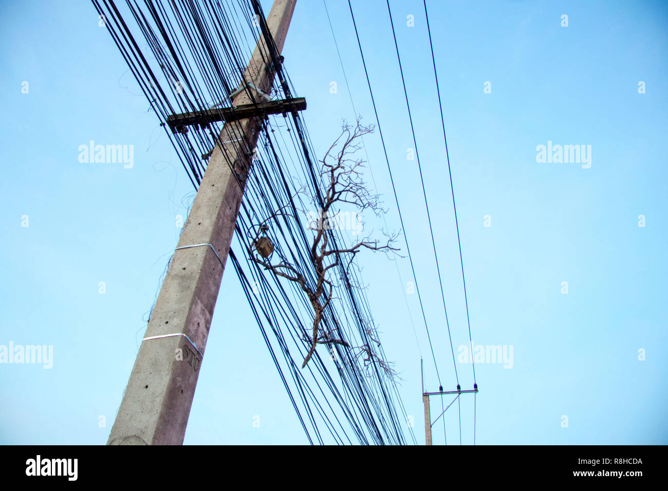 Concrete pole electric hi-res stock photography and images - Alamy