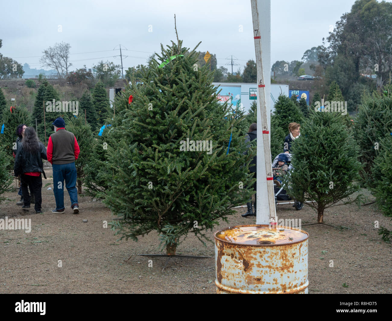 Measuring stick hi-res stock photography and images - Alamy