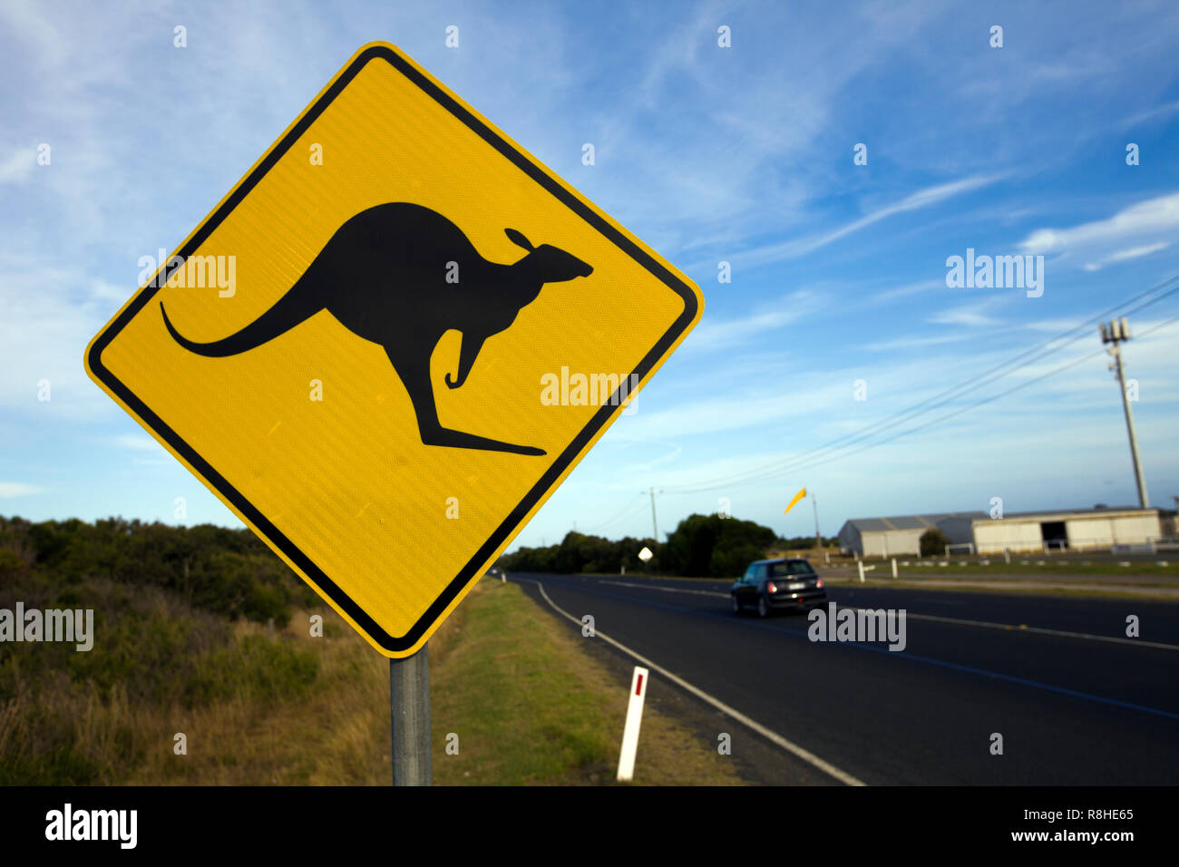 traffic sign for kangaroo crossing considered to be very common in the ...