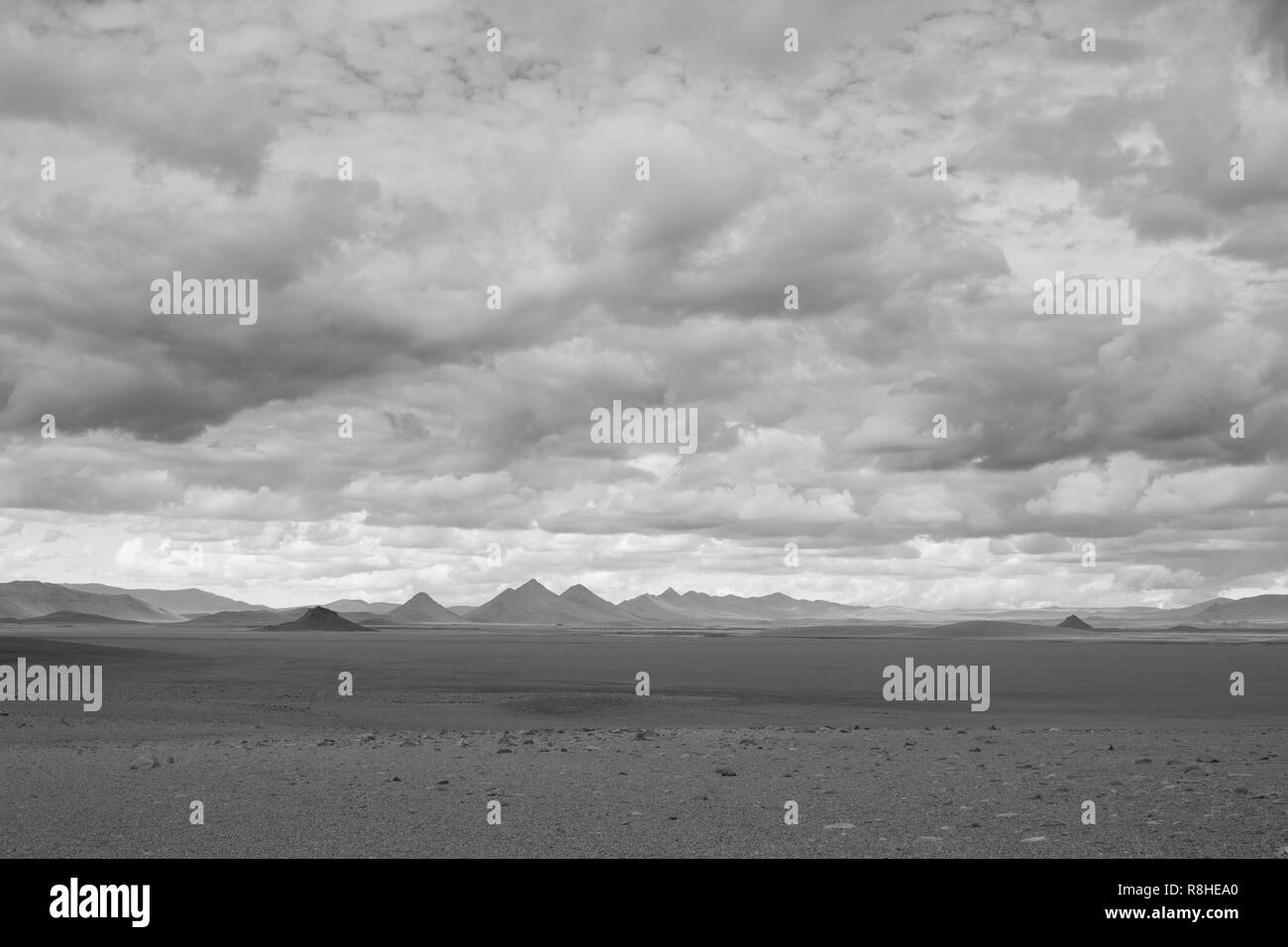 Dark Desolate Landscape