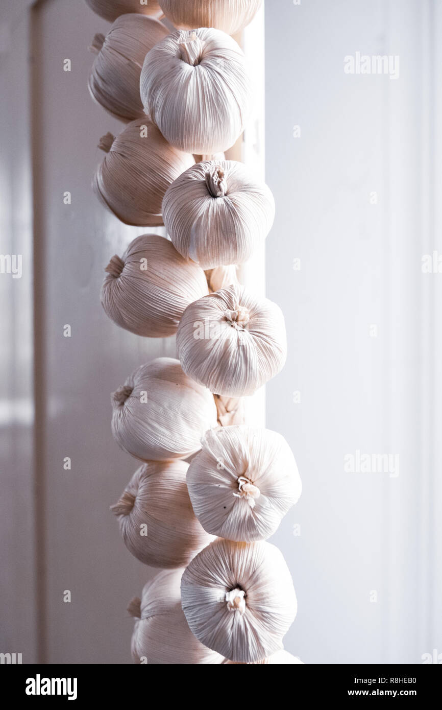 Braids of garlic hanging up in the kitchens of a stately home Stock ...