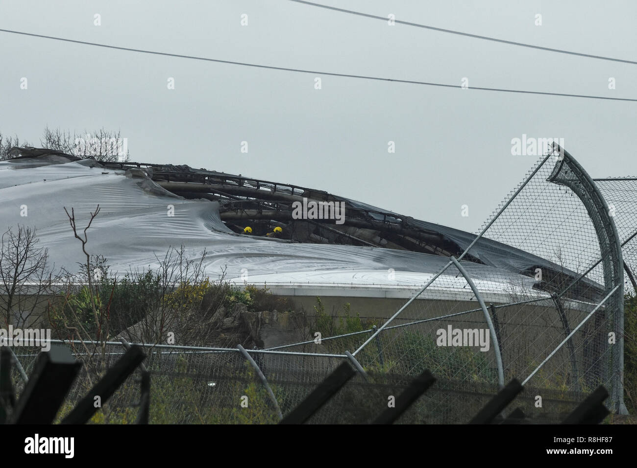 Chester zoo monsoon forest fire hi-res stock photography and images - Alamy