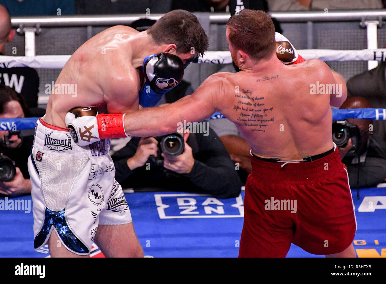 New York, New York, USA. 15th Dec, 2018. CANELO ALVAREZ (red trunks ...