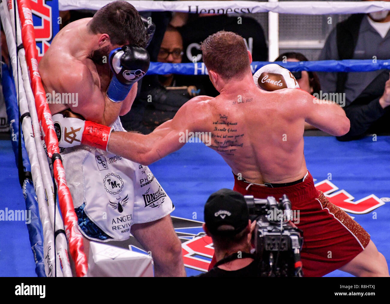 New York, New York, USA. 15th Dec, 2018. CANELO ALVAREZ (red trunks ...