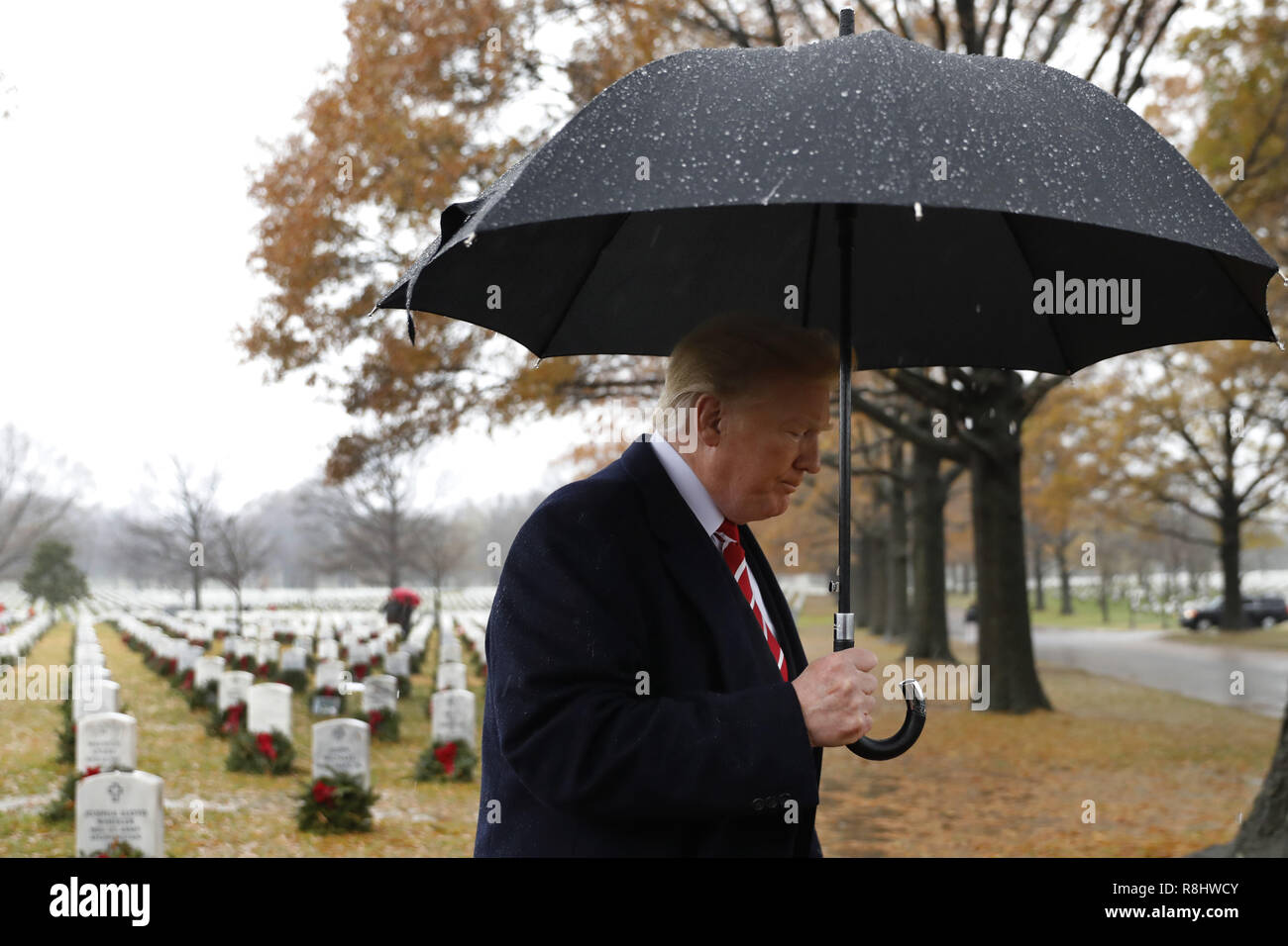 Section 60 arlington hi-res stock photography and images - Alamy