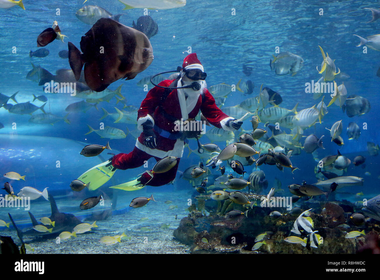 Beijing ocean park hi-res stock photography and images - Alamy