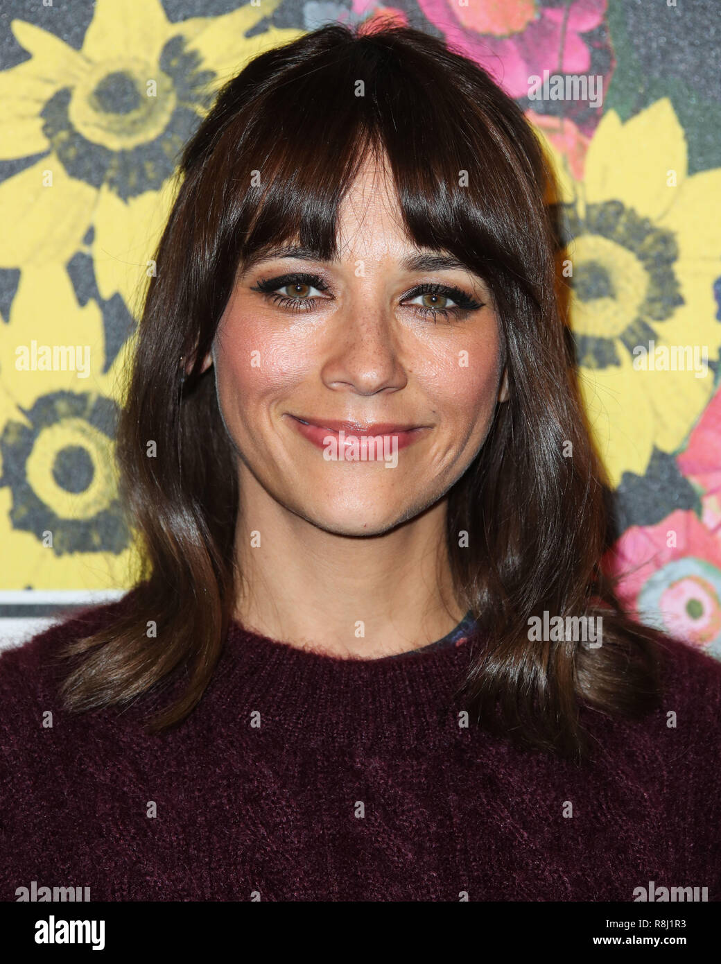 LOS ANGELES, CA, USA - OCTOBER 18: Rashida Jones at the H&M x ERDEM ...