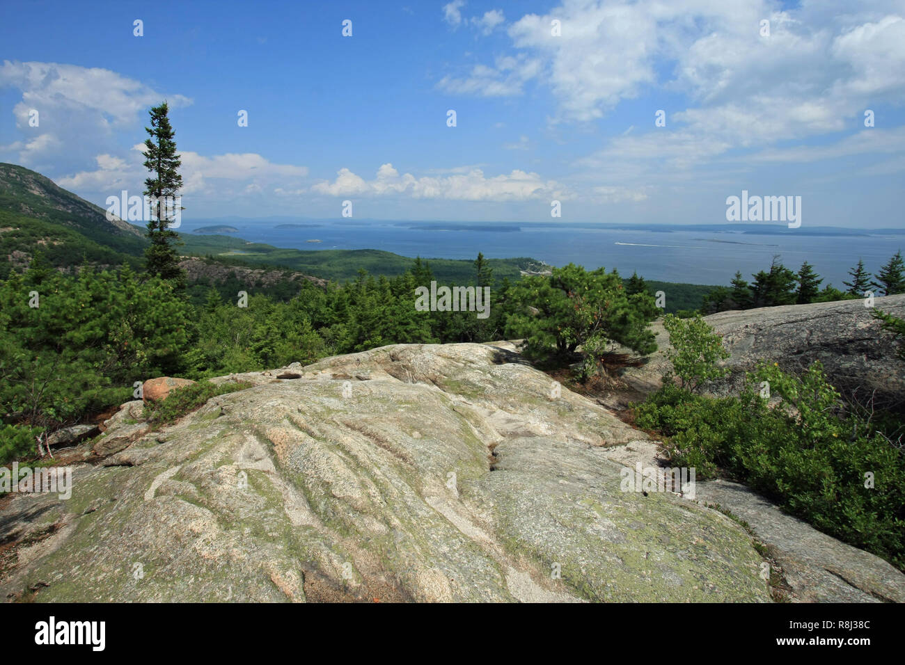 Acadia National Park on a sunny summer day Stock Photo - Alamy