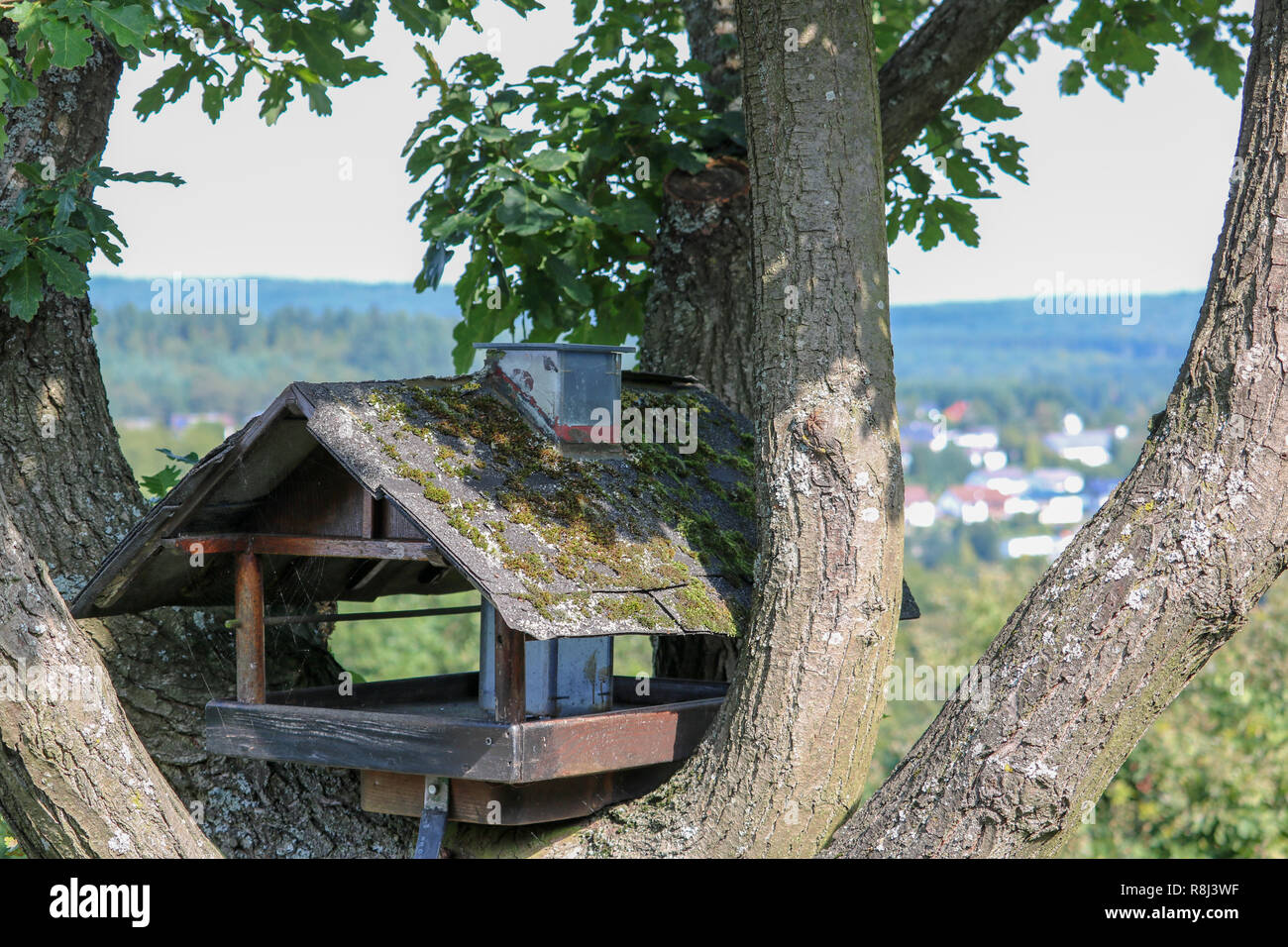 Wooden birdhouse on a Tree Stock Photo - Alamy