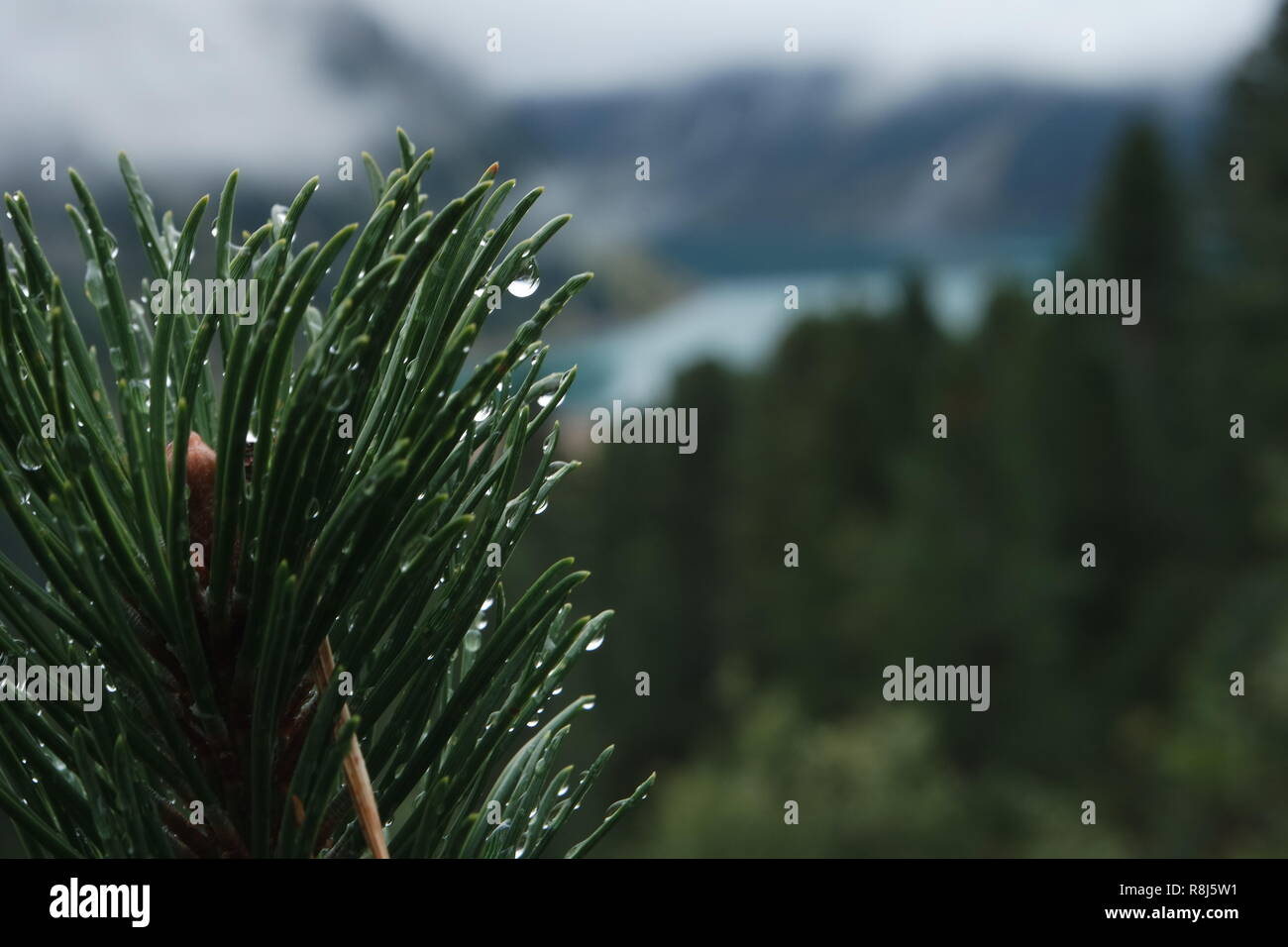 Waterdrops on the lake hi-res stock photography and images - Alamy