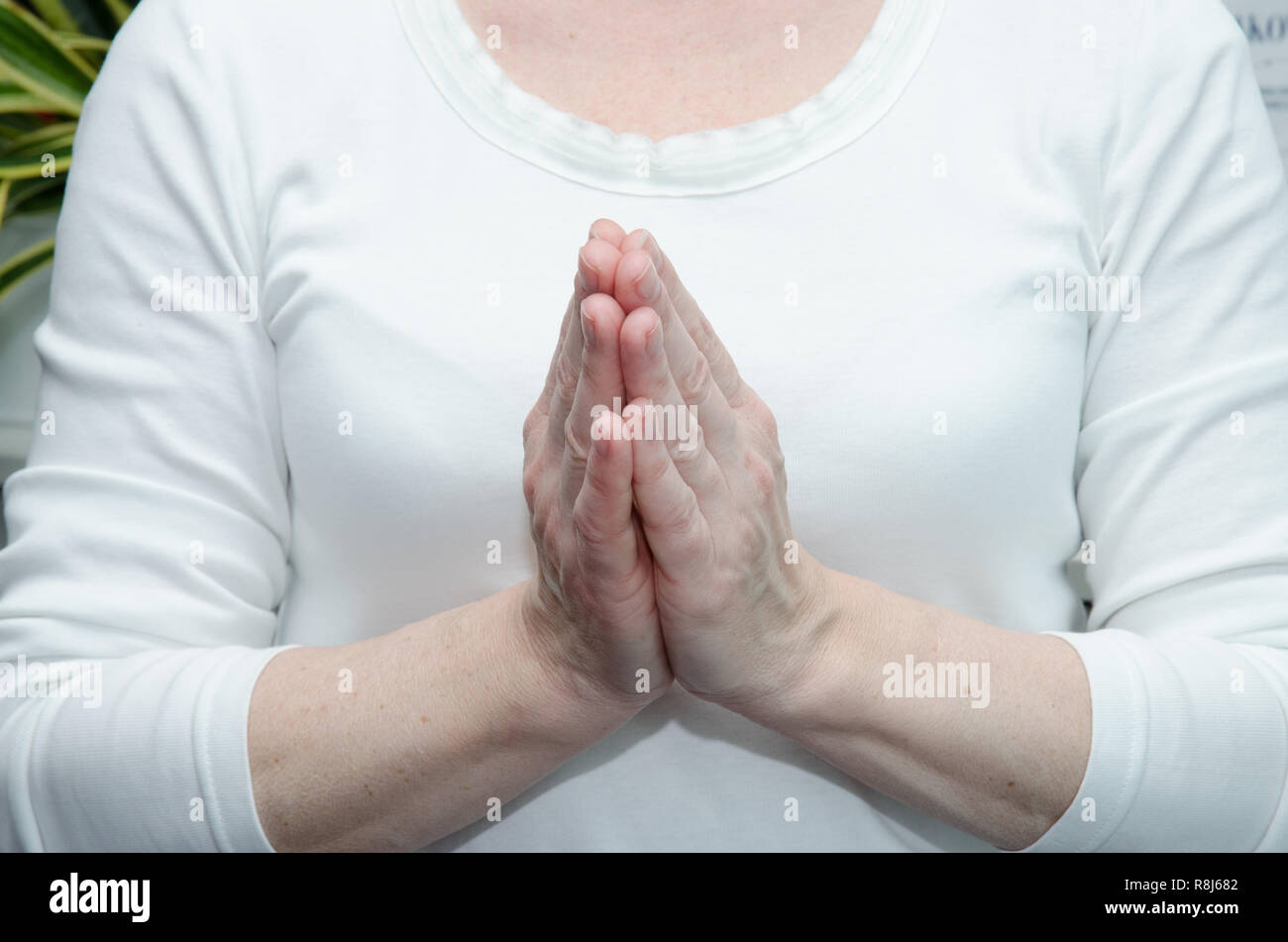 hands with pray gesture Stock Photo - Alamy