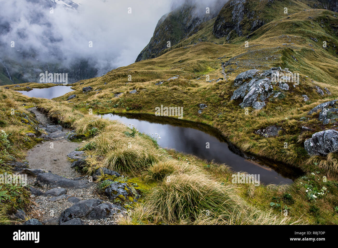 Mackinnon pass hi-res stock photography and images - Alamy
