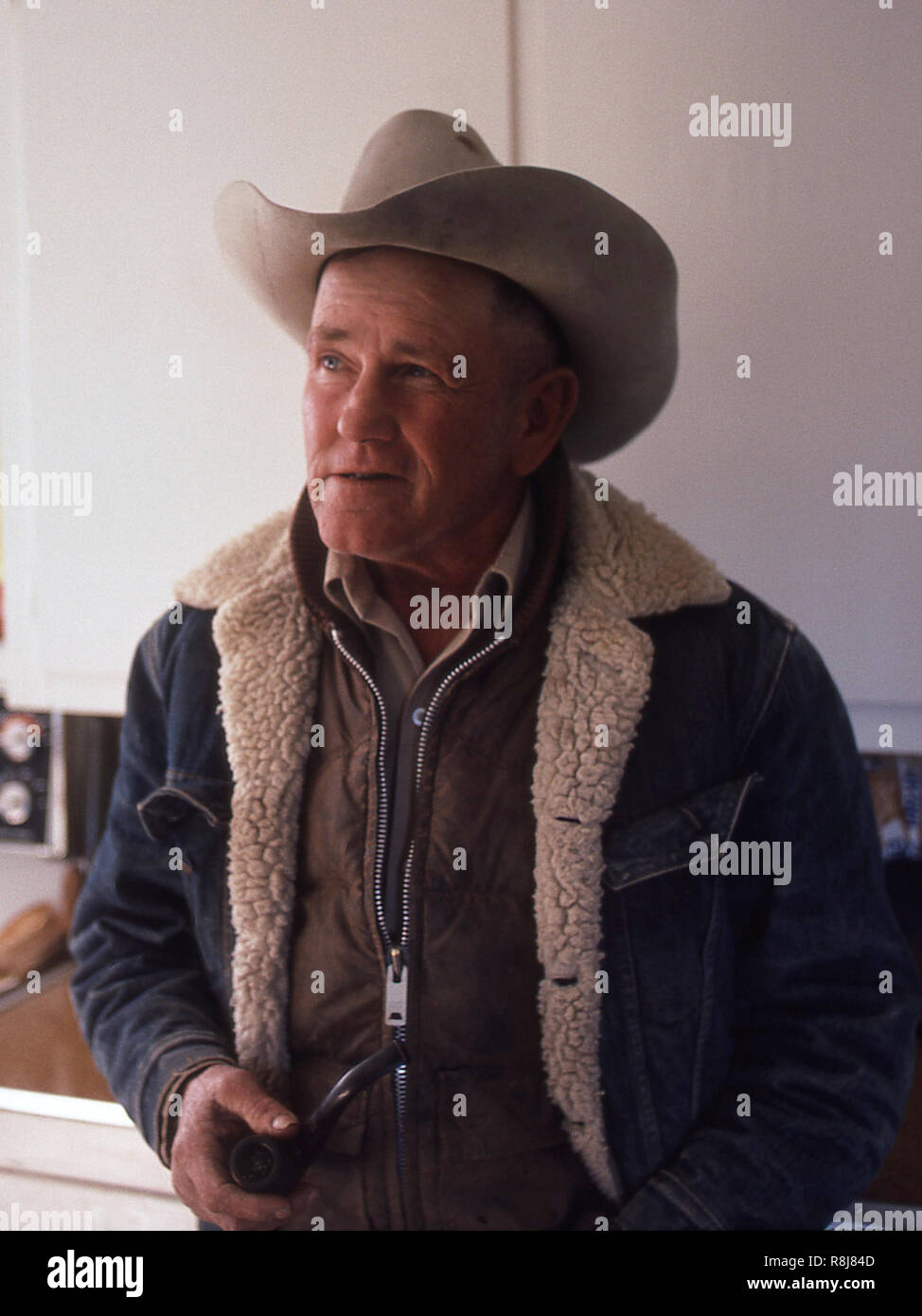 Texas Working Cowboy Stock Photo - Alamy