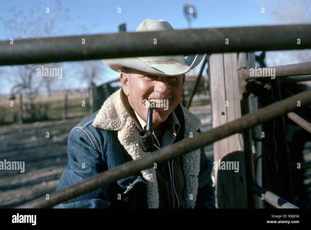 Texas Working Cowboy Stock Photo - Alamy