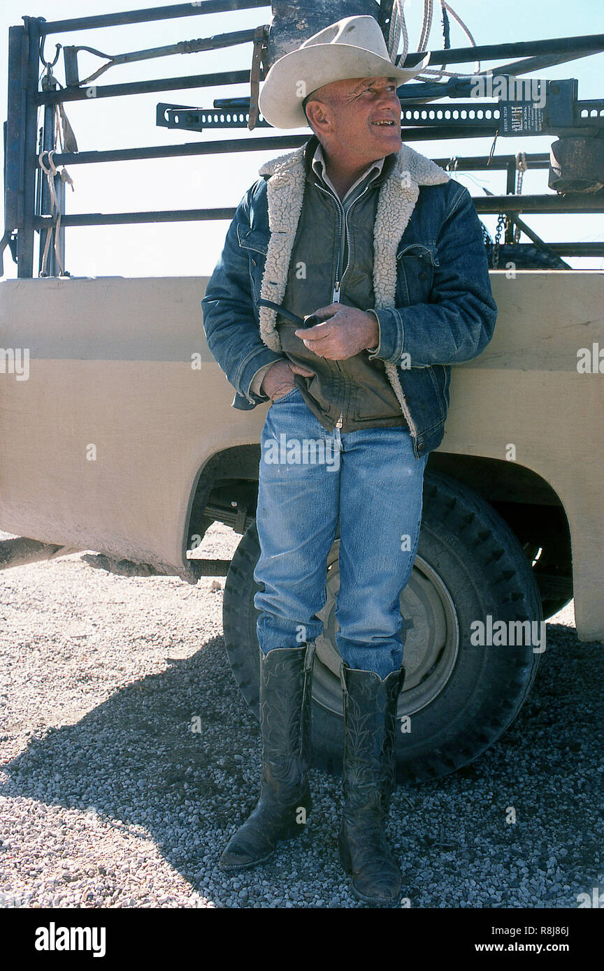 Cowboy working texas hi-res stock photography and images - Alamy