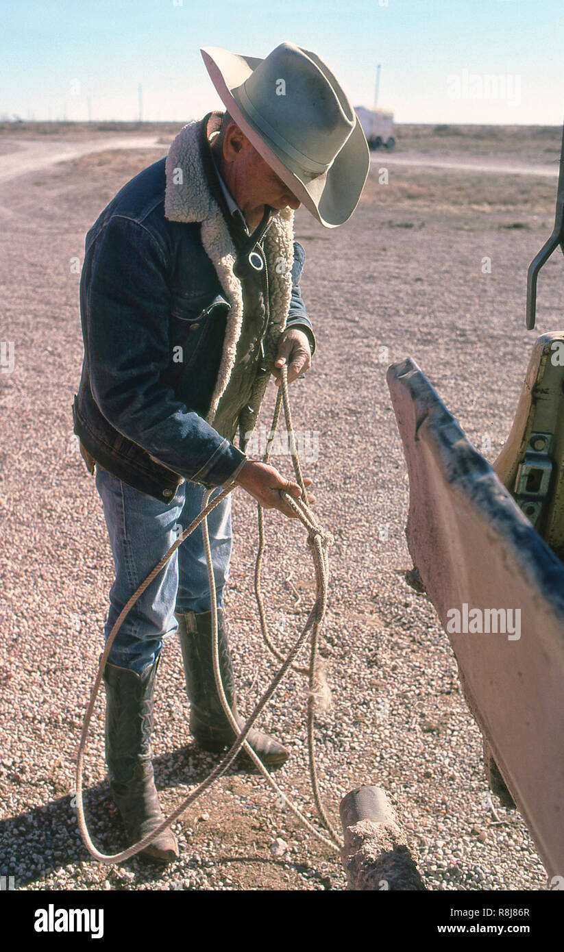 Texas Working Cowboy Stock Photo - Alamy