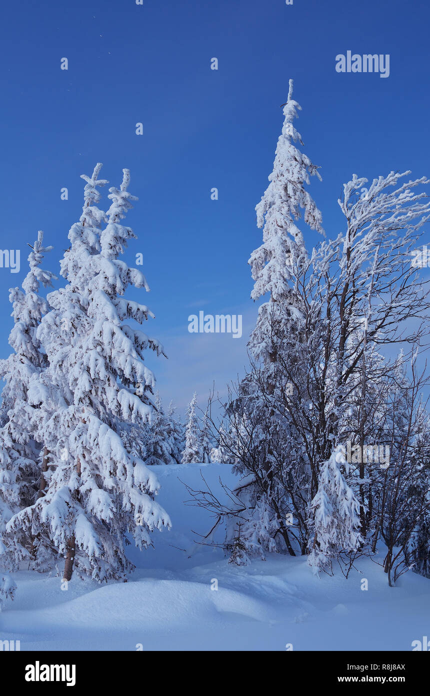 Dusk twilight winter hi-res stock photography and images - Alamy