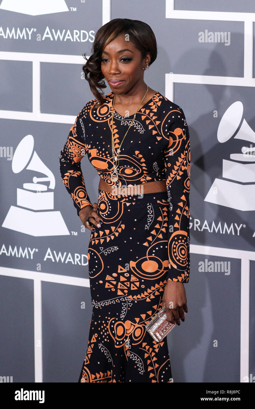 LOS ANGELES, CA, USA - FEBRUARY 10: Estelle at the 55th Annual GRAMMY ...