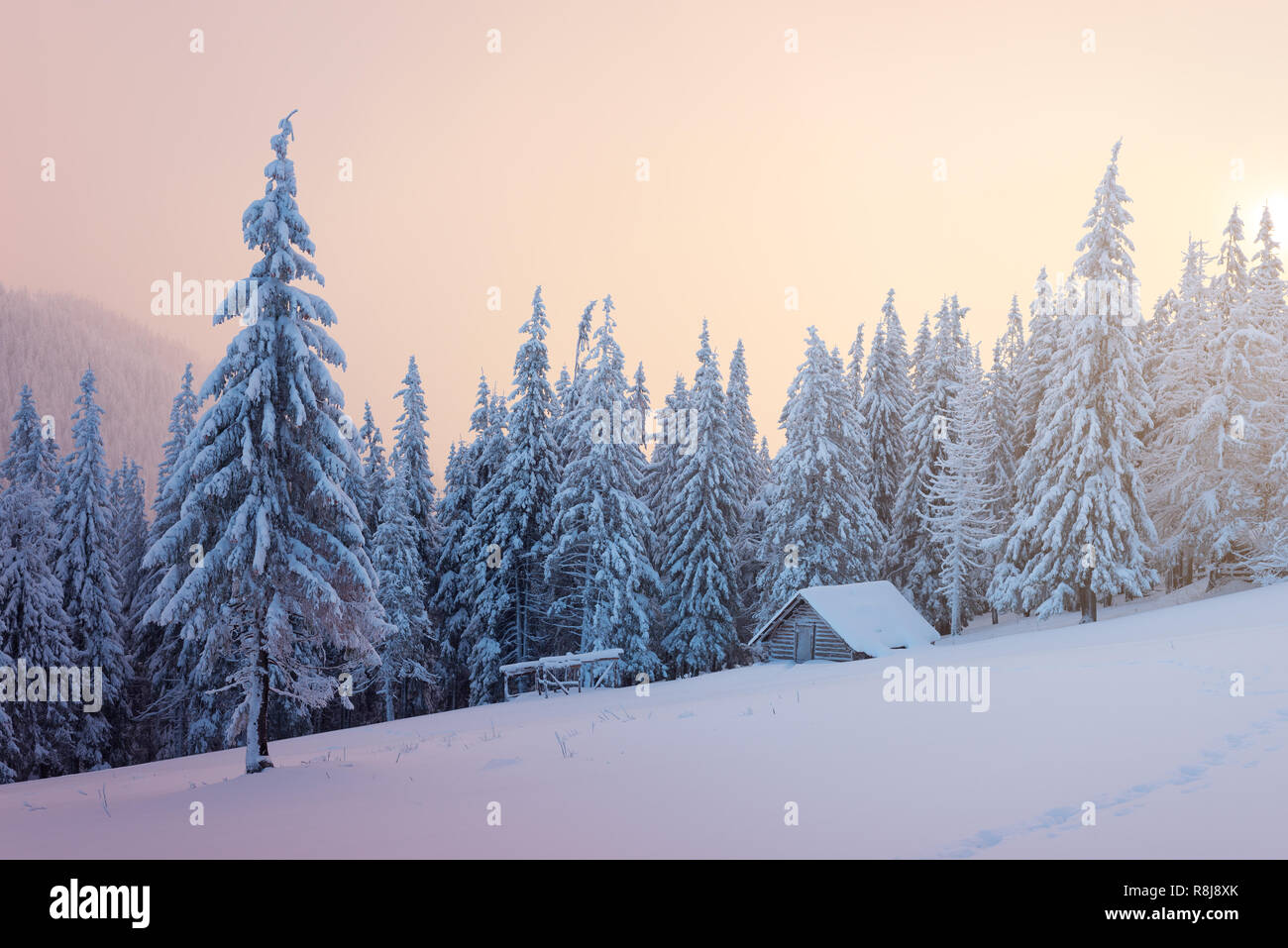 Winter Landscape with a wooden hut in the mountains. Spruce forest in ...